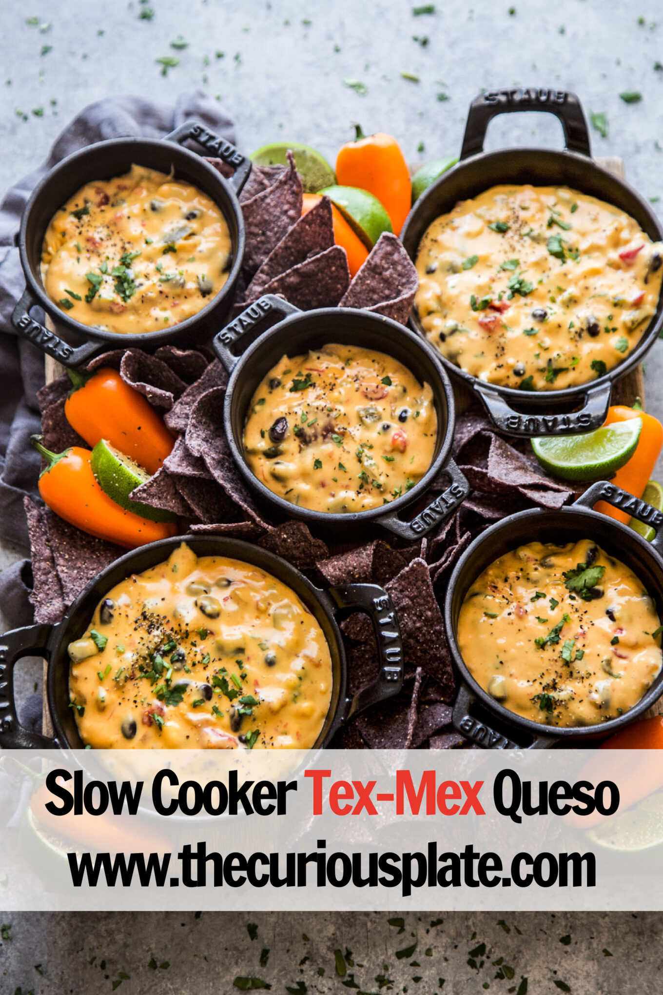 Slow Cooker Tex-Mex Queso